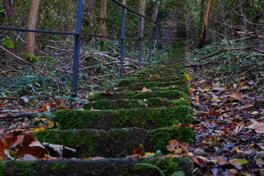 Scala del Paradiso, è la più bella d'Italia: da fare una volta nella vita